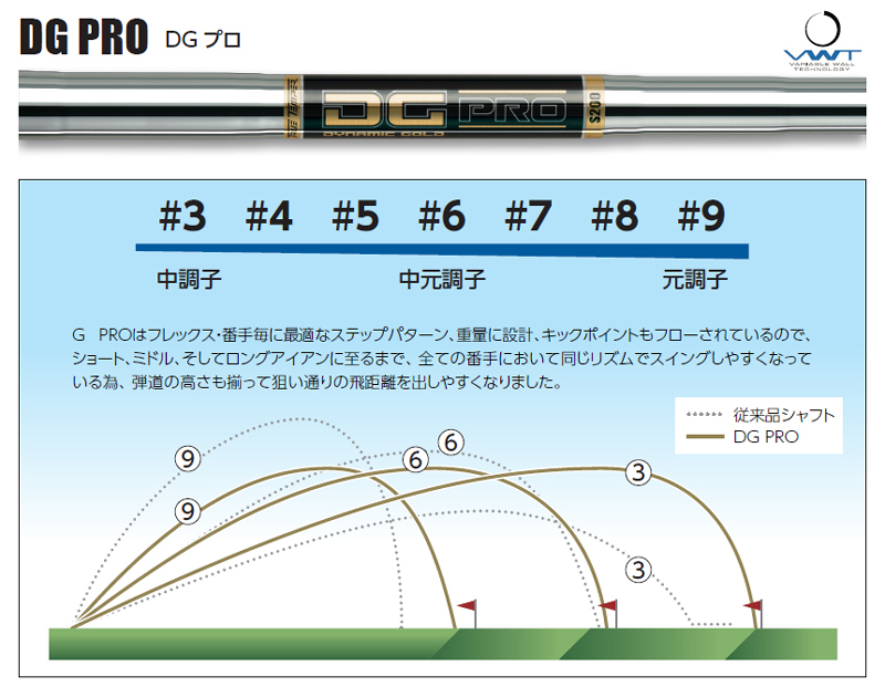  DG PRO